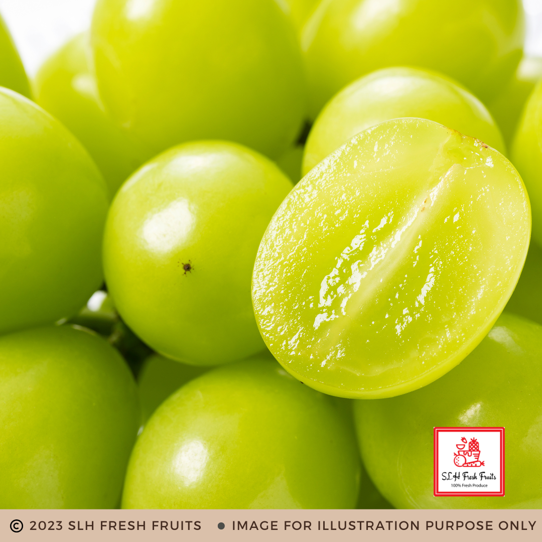 SLH China Shine Muscat (500g) – SLH FRESH FRUITS