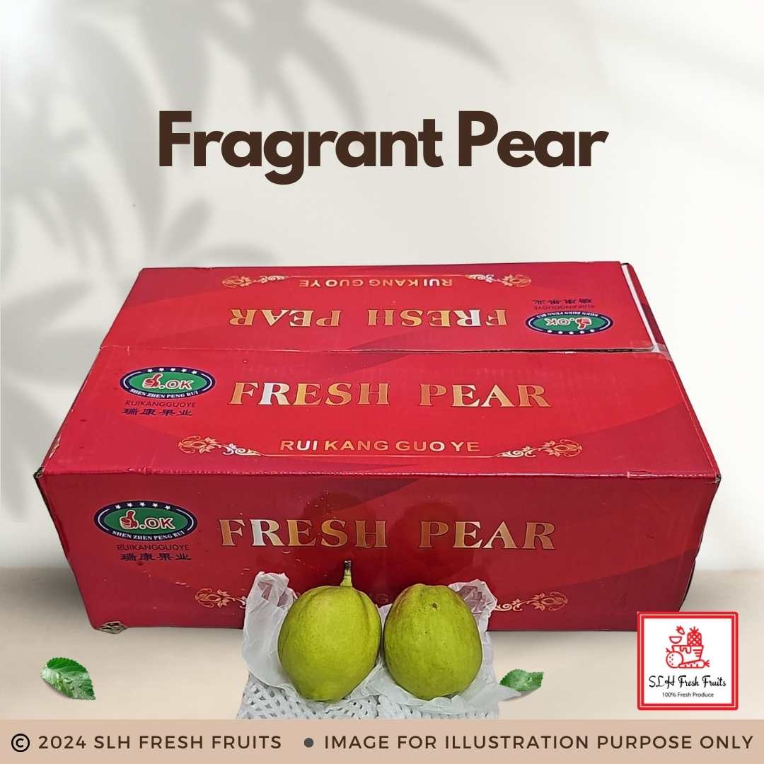 SLH Fragrant Pear Carton Sale - 7kg/carton – SLH FRESH FRUITS
