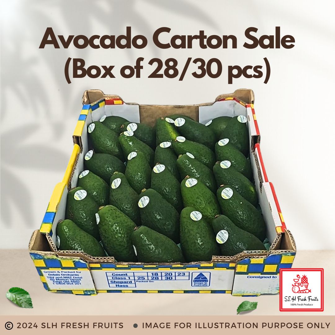 SLH Avocado Carton Sale (Box of 28/30 pcs) – SLH FRESH FRUITS