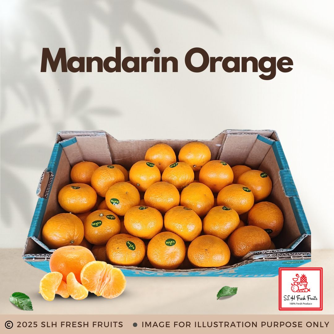 SLH Mandarin Orange Carton Sale 10kg – SLH FRESH FRUITS