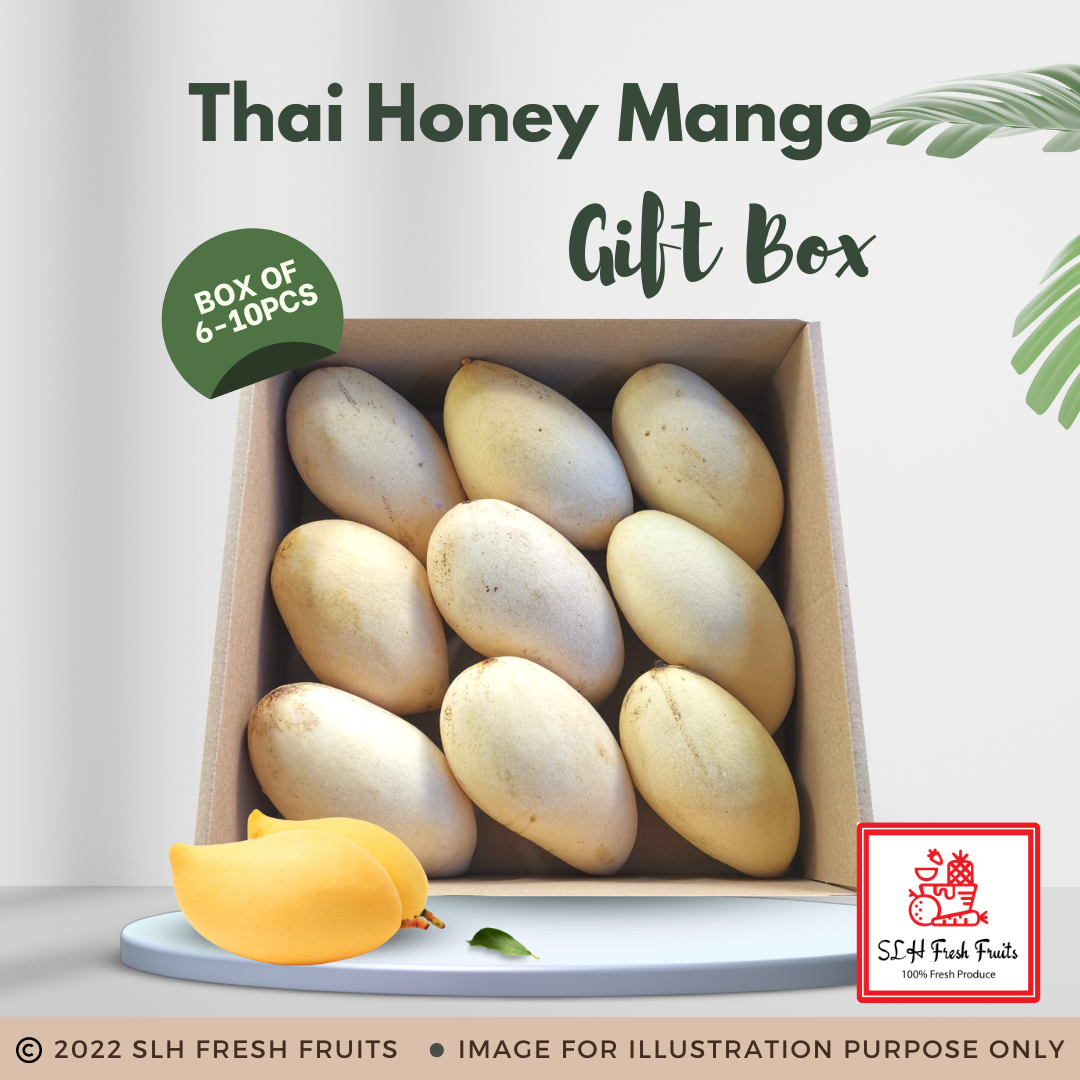 SLH Thai Honey Mango Gift Box (Box of 6-10pcs)(3.0kg -3.5kg) – SLH ...