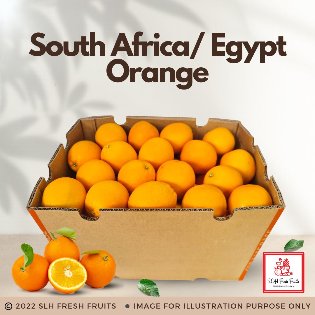 SLH Small Orange Carton Sale (Box of 72pcs) – SLH FRESH FRUITS