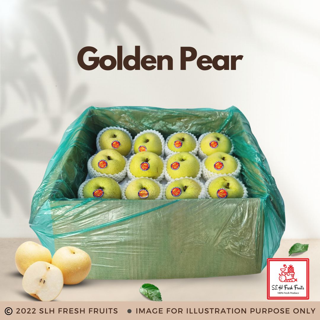 SLH Golden Pear Carton Sale ( Box of 36pcs ) – SLH FRESH FRUITS