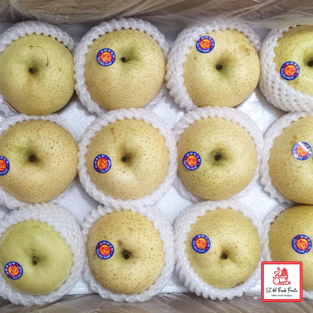 SLH Golden Pear Carton Sale ( Box of 36pcs ) – SLH FRESH FRUITS