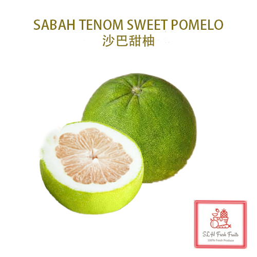 SLH Sabah Tenom Sweet Pomelo 柚子 - 1.2-1.5kg – SLH FRESH FRUITS