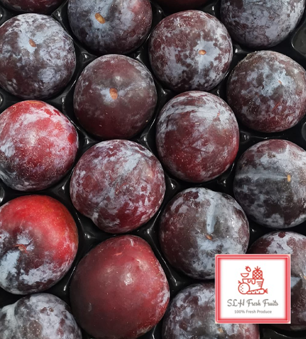 SLH Red Plum (500g±) – SLH FRESH FRUITS