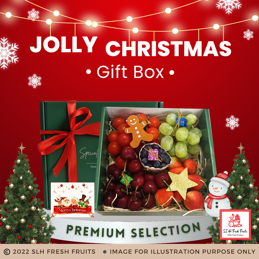SLH Jolly Christmas Gift Box – SLH FRESH FRUITS