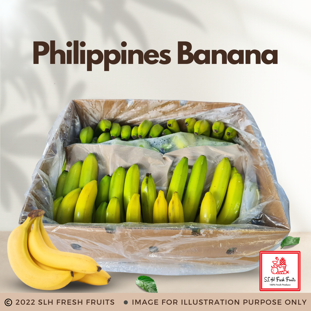 SLH | Banana (Philippines) Carton Sale – SLH FRESH FRUITS