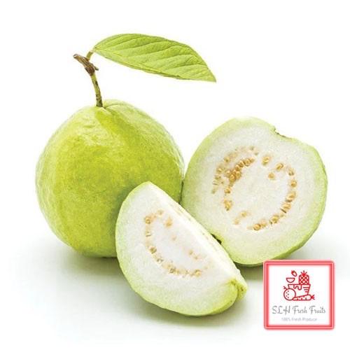 SLH - Guava [Luo Han] - (1kg) – SLH FRESH FRUITS