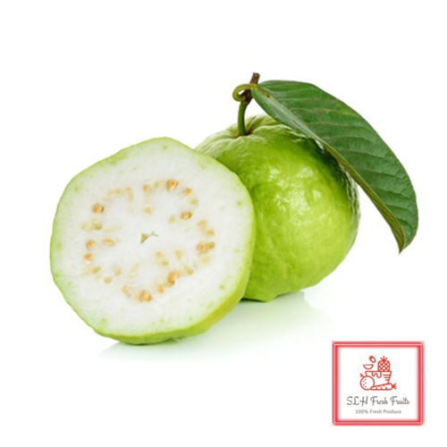 SLH Thailand Seedless Guava 泰国无籽番石榴 – SLH FRESH FRUITS
