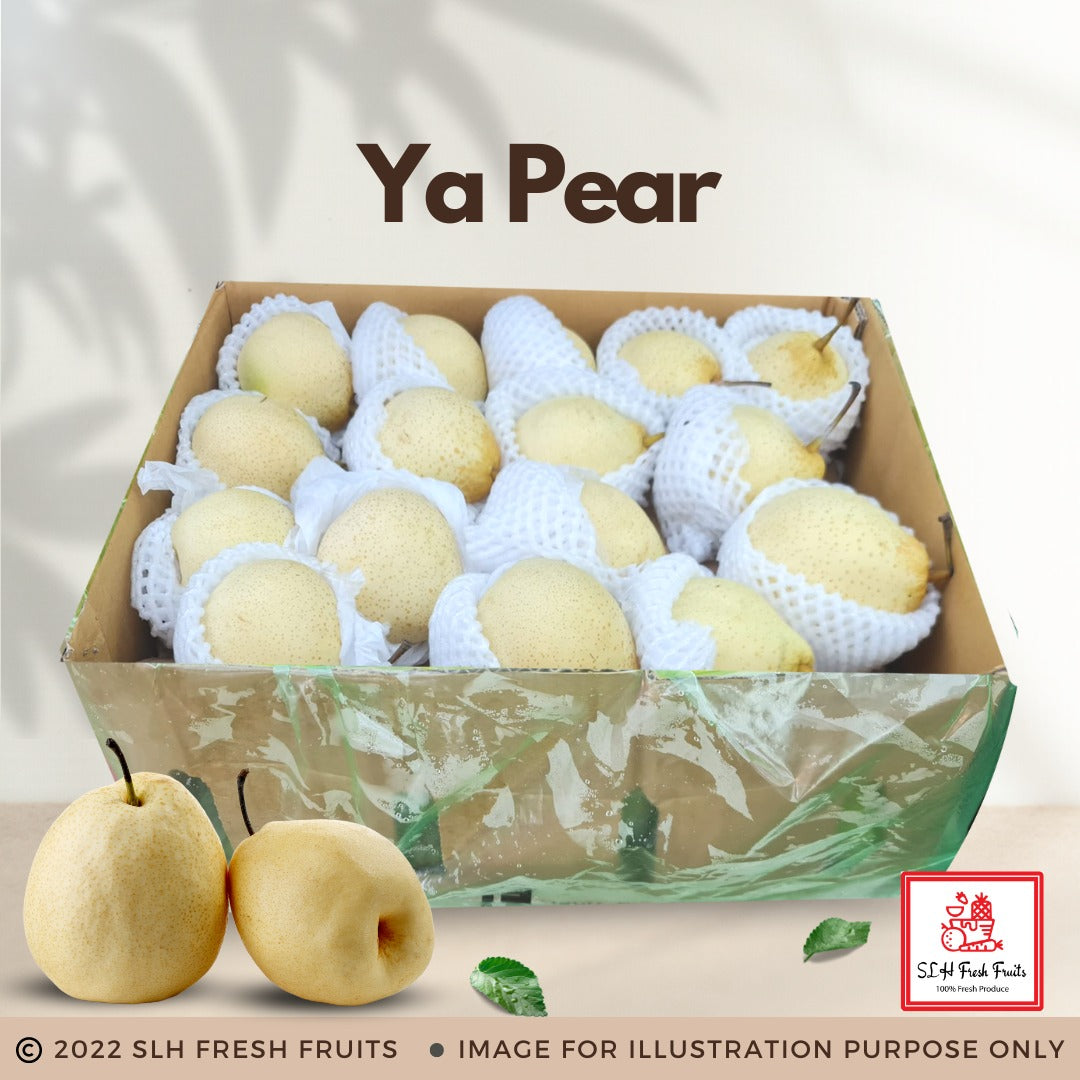 SLH Green Pear Carton Sales - Fresh Fruits – SLH FRESH FRUITS