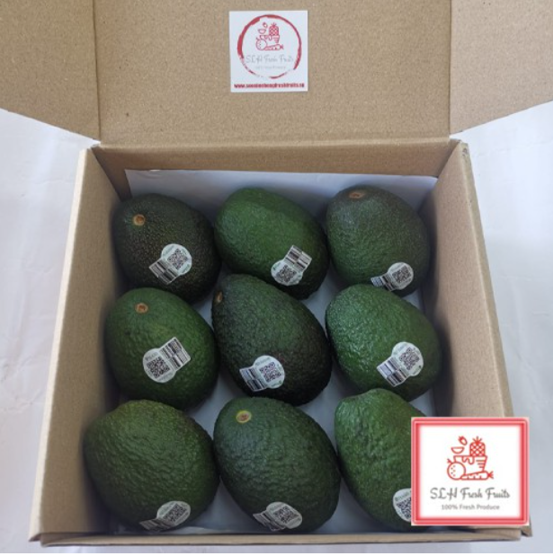 SLH Avocado Gift Box (Box of 9 pcs) – SLH FRESH FRUITS
